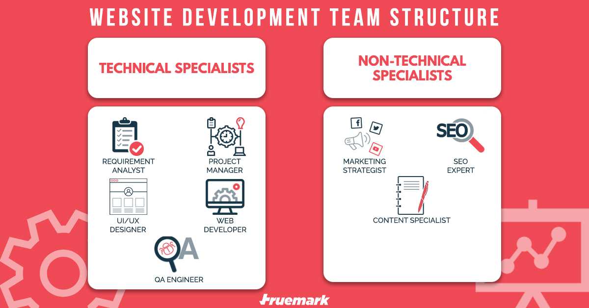 Website development team structure: roles and processes